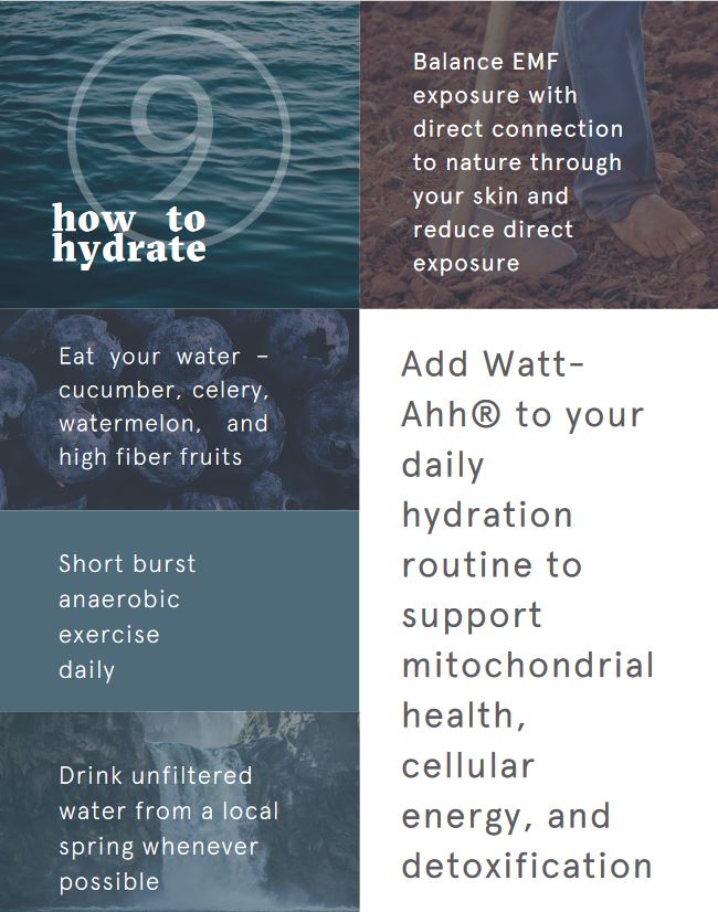 Dr. Zach Bush MD’s Journey of Intrinsic Health and True Hydration – AquaNew