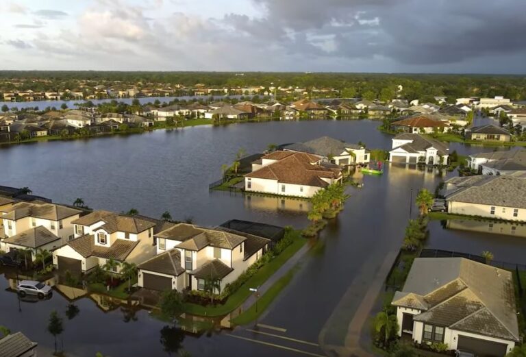 Muck! – A Story of Southwest Florida Wetlands – AquaNew